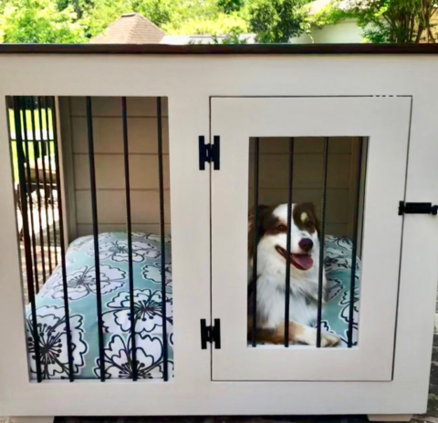 Modern Farmhouse Design with Pets- Simple and Gorgeous Pet-Friendly Decor