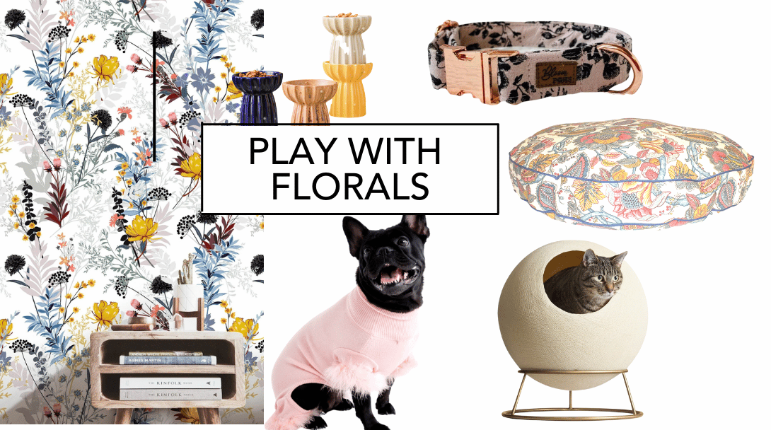 Max Out with Pet-Friendly Maximalist Home Decor