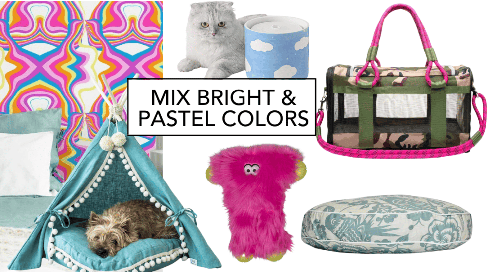 Max Out with Pet-Friendly Maximalist Home Decor